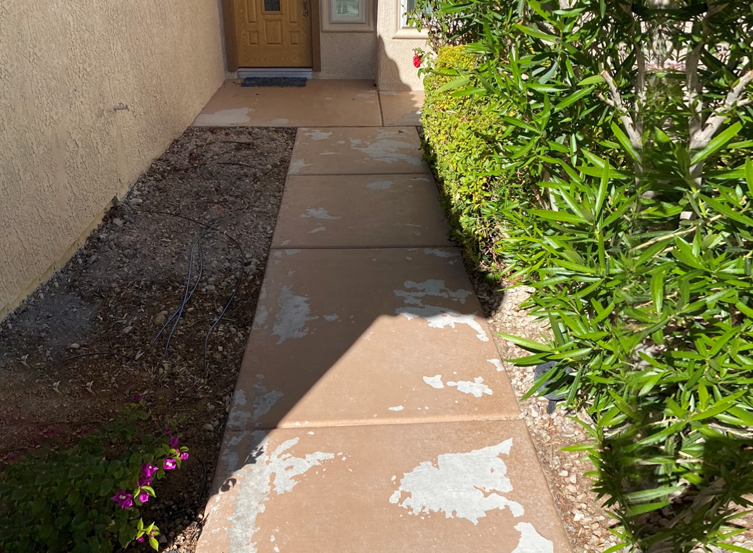 Walkways Case Study - Pebble Stone Coatings